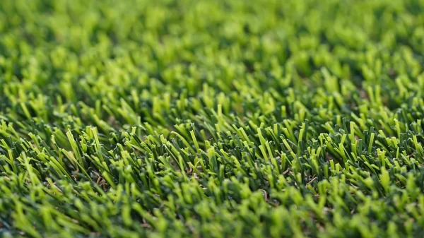 RIVERSIDE – Greenturf